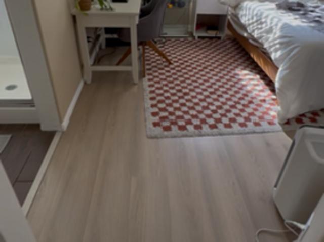 Large Master bedroom, big walk in closet, private large bathroom