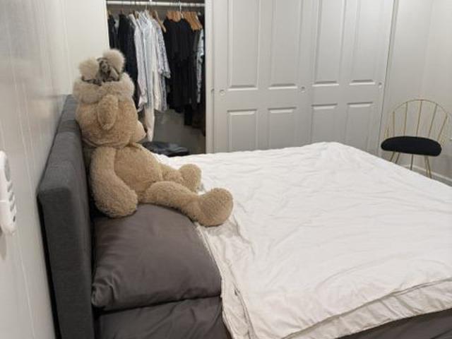 Large Master Room for rent