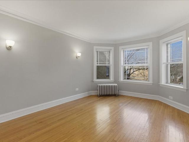 Large One Bedroom in Andersonville