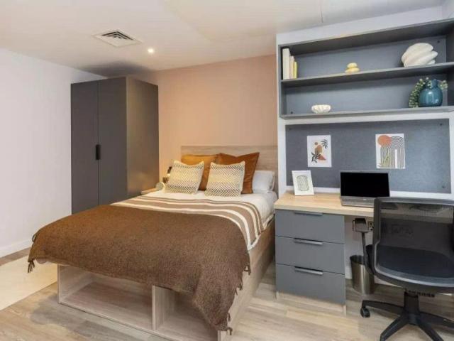 Large Premium Studio
