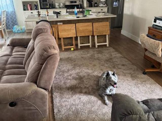 LARGE ROOM IN NICE HOME