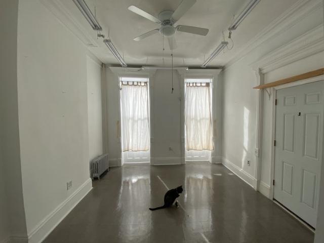 Large Room in Bed Stuy Townhouse