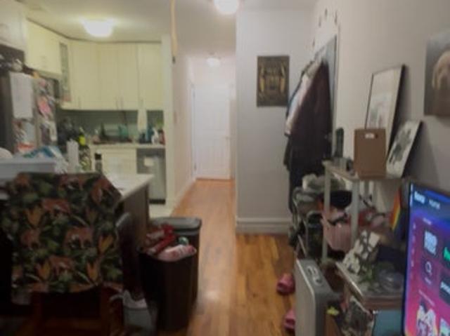 Large room in sunny apartment with dog!