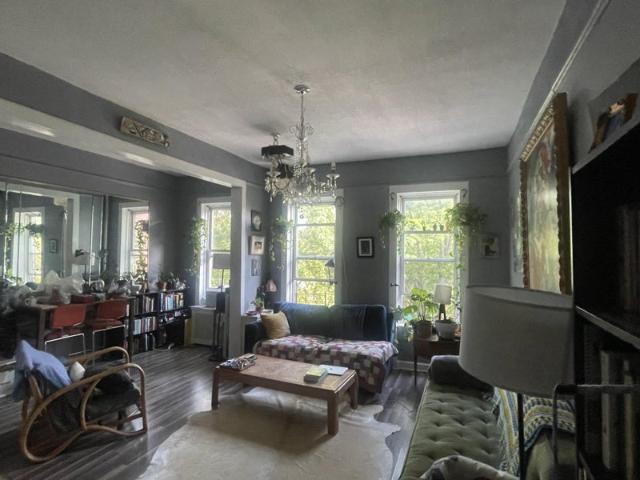 Large room in spacious Crown Heights apartment