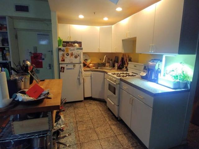 Large room in 2 bedroom Dumbo loft