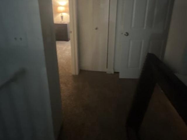 Large room ready !