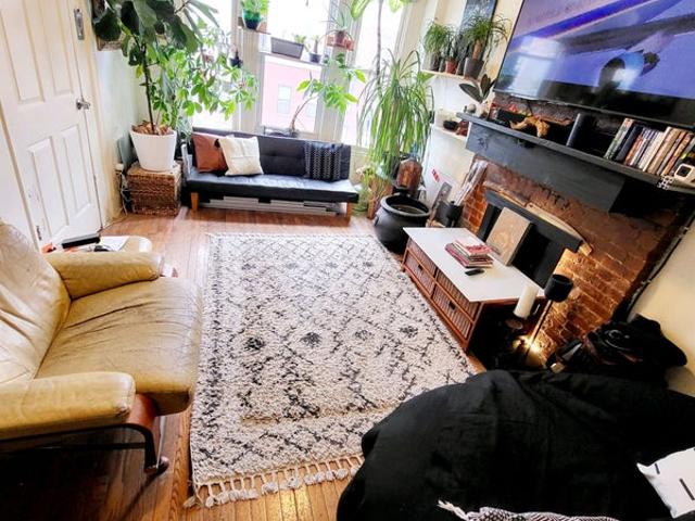 Large /small bedroom in Clinton Hill