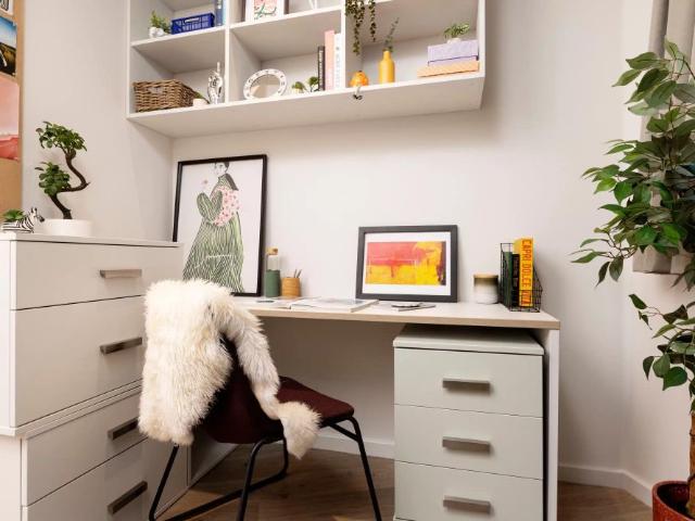 Large Standard Double Studio