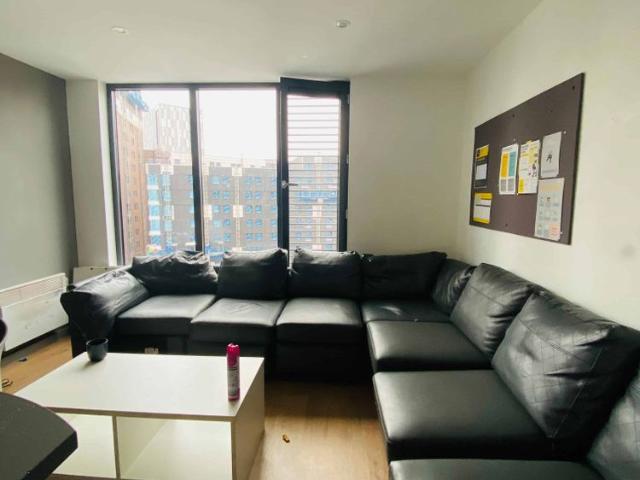 Large Standard Double Studio