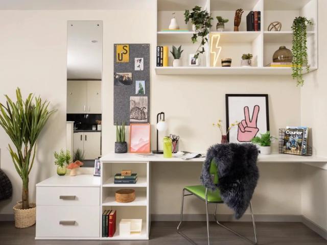 Large Standard Double Studio