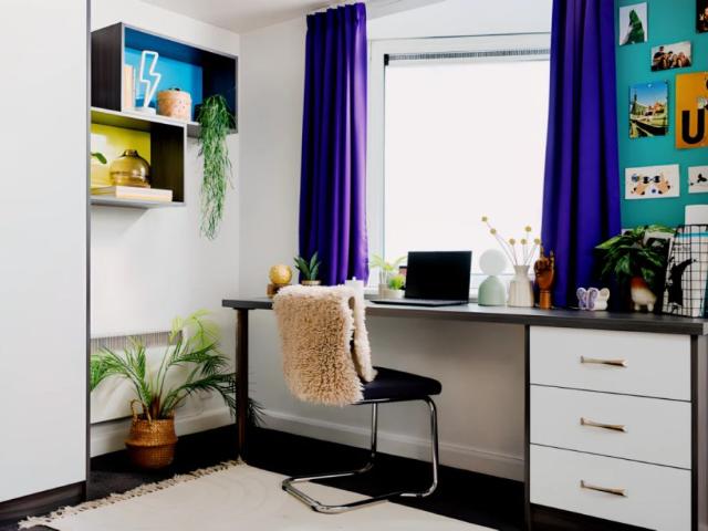 Large Studio