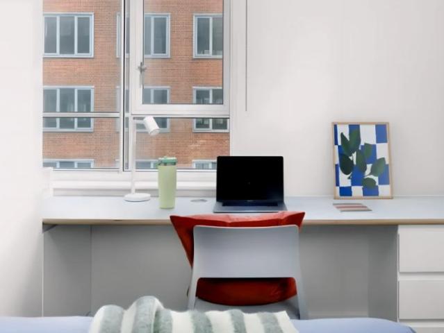 Large Studio