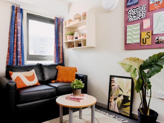Large Studio