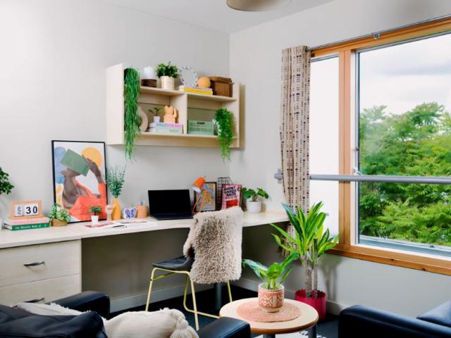 Large Studio