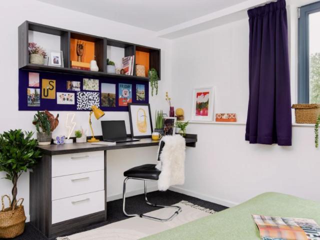 Large Studio