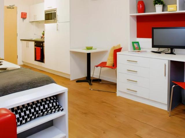 Large Studio