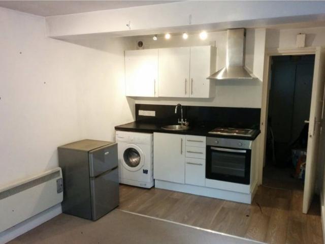Large Studio Garden Flat in Twickenham TW1 4TE