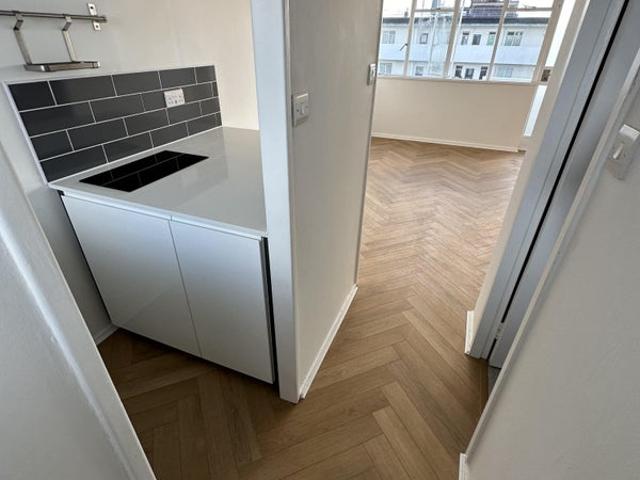 Large Studio Flat in Streatham
