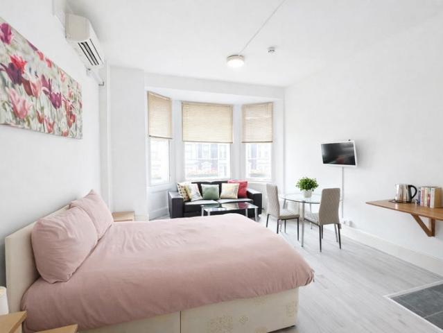 Large Studio with Air Conditioner in South Ken