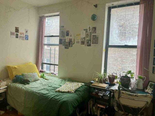 Large Sunny Bedroom in Huge Hamilton Heights Apt