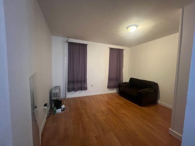 Large, Sunny Brooklyn Room — Sept. 1, No Pets