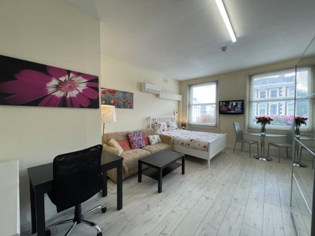 Large Sunny Studio with AC in SW7 for summer!