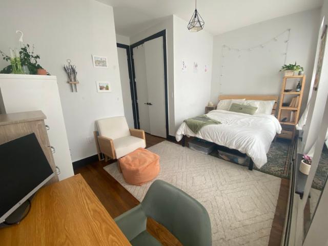 Largest room in our 3 Bed in Clinton Hill/BedStuy