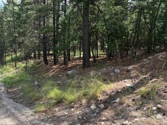 Lariat Rd, Mayhill, NM 88339