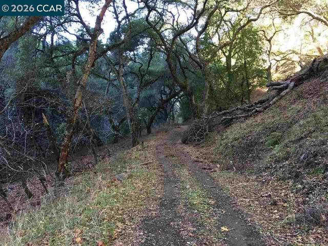 Lark Ln, San Ramon, CA 94583 | MLS #41120