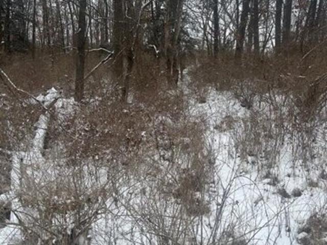 Larkins Rd, Brighton Township, Plot For Sale