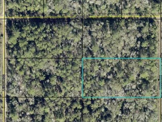 Lars Ave, Hastings, FL 32145