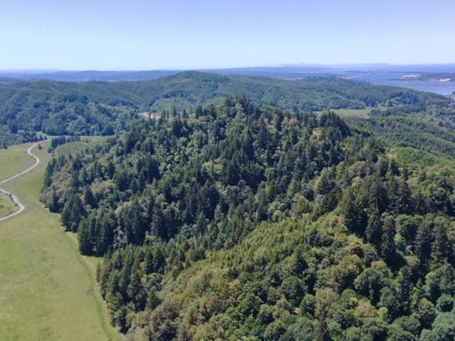 Larson Ln, North Bend, OR 97459