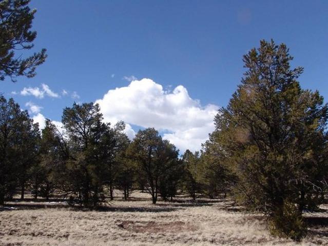 Last Frontier Subdivision Lot Unit I Lot 30, Datil, NM 87821