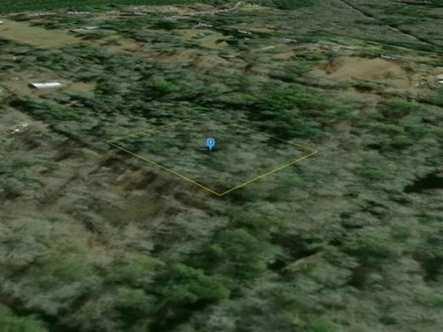 Last Stand Ln, Silsbee, TX 77656