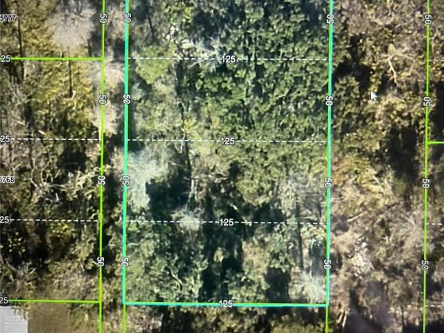 Las Palmas Ave, Spring Hill, FL 34606 | MLS #TB8371
