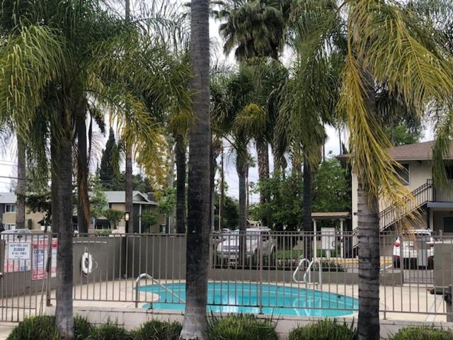 Las Palmas 1 Bedroom Apartment for Rent at 6668 Palm Ave, Riverside, CA 92506 Magnolia Center