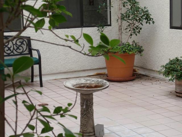 Lassen Apartments 2 Bedroom Apartment for Rent at 17710 Lassen St, Los Angeles, CA 91325 Northridge