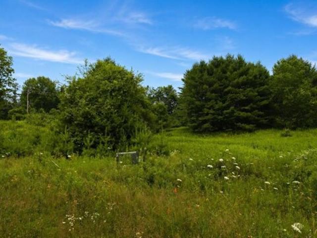 Lathrop Loop Lot,ludlow, Plot For Sale