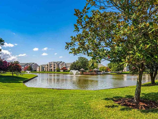 Latitudes Apartments 1 Bedroom Apartment for Rent at 1701 Chase Pointe Cir, Virginia Beach, VA 23454 Northeast Virginia Beach