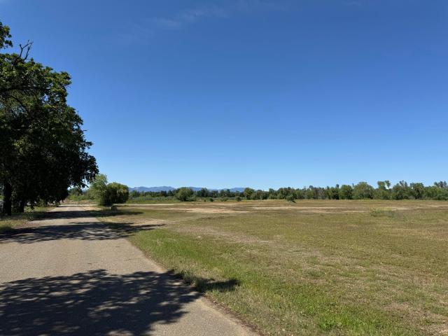 Latona Road