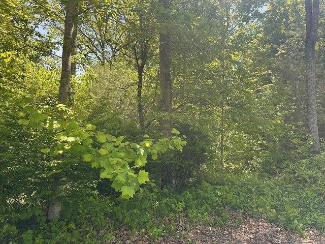 Lauren Ln Lot 47, Franklin, NC 28734