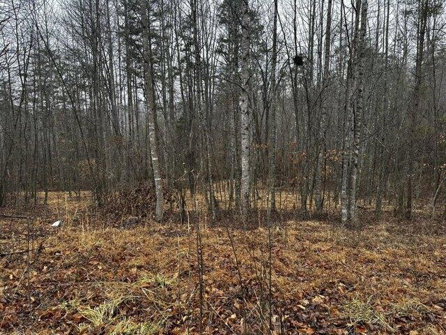Lauren Mill Dr, Fieldale, Plot For Sale