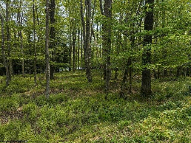 Laurel Cir Lots 175 & 176, Terra Alta, WV 26764