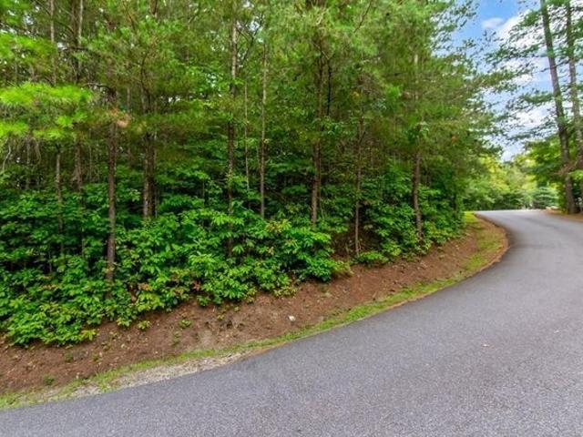 Laurel Creek Trl Lot 9, Blue Ridge, GA 30513