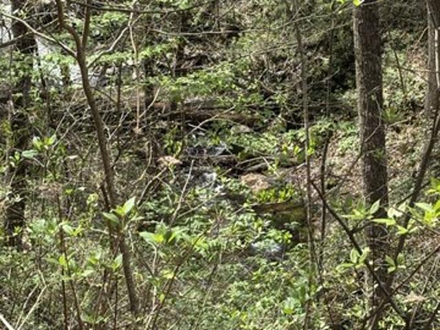 Laurel Br, Dawsonville, GA 30534