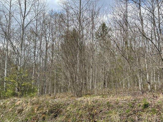 Laurel Branch Rd, Hayesville, NC 28906