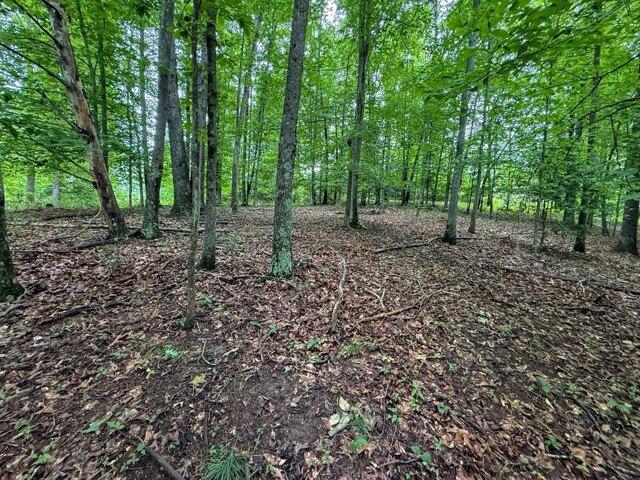 Laurel Heights Dr, Sutton, Plot For Sale