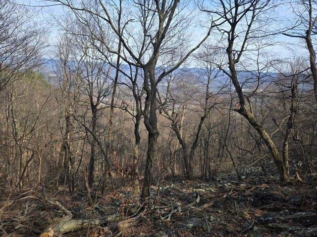 Laurel Mt Rd, Three Springs, Plot For Sale