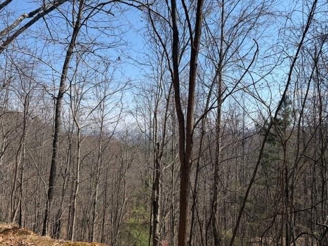 Laurel Mtn Lot 16, Brasstown, NC 28902