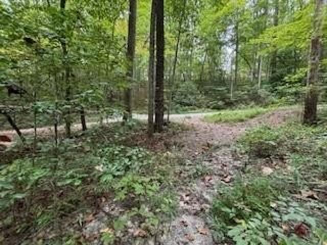 Laurel Spring Dr Lot 33, Bryson City, NC 28713